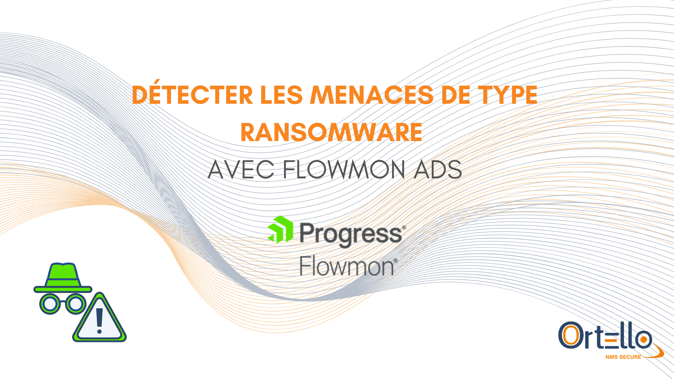 Détecter les menaces de type ransomware avec Flowmon ADS - Ortello